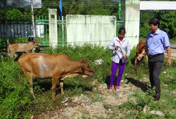 Khánh Hòa: Nhiều mô hình thực hiện chính sách dân tộc giúp đồng bào DTTS thoát nghèo - Cổng ...